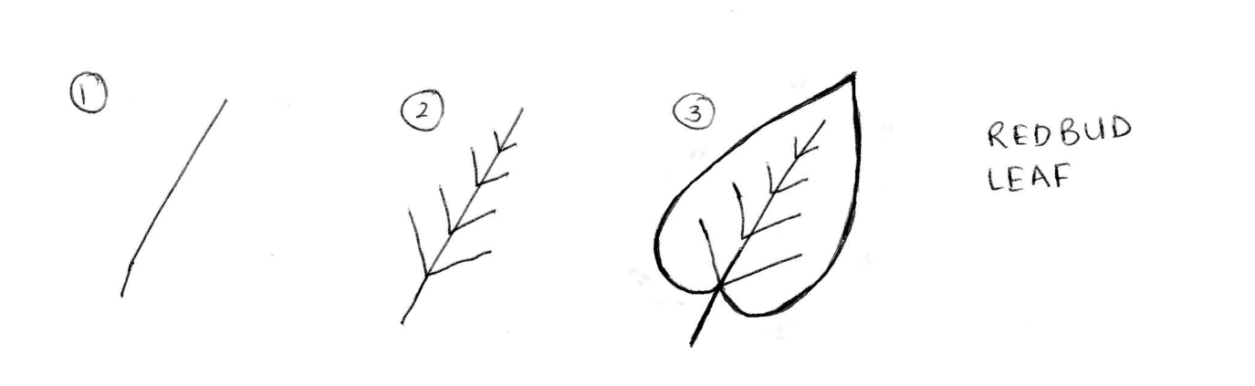 How To Draw Leaves: 21 Best Tutorials For Beginners - Craftsonfire