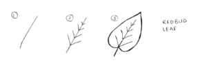 How To Draw Leaves: 21 Best Tutorials For Beginners - Craftsonfire