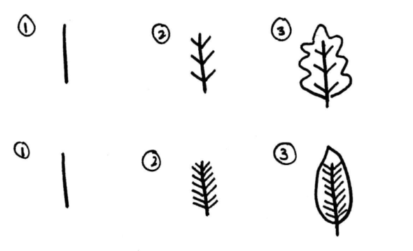 How To Draw Leaves: 21 Best Tutorials For Beginners - Craftsonfire
